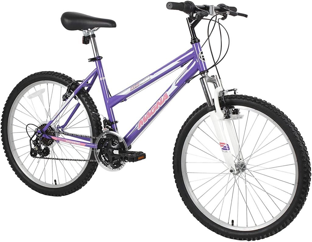 Best Budget Mountain Bike: Top 10 Picks in 2024 - FUNONWHEEL